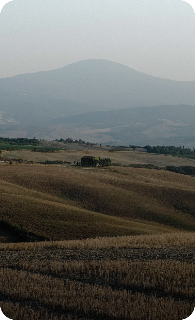 Exeland – Buy & Rent Properties / Lands in Cyprus